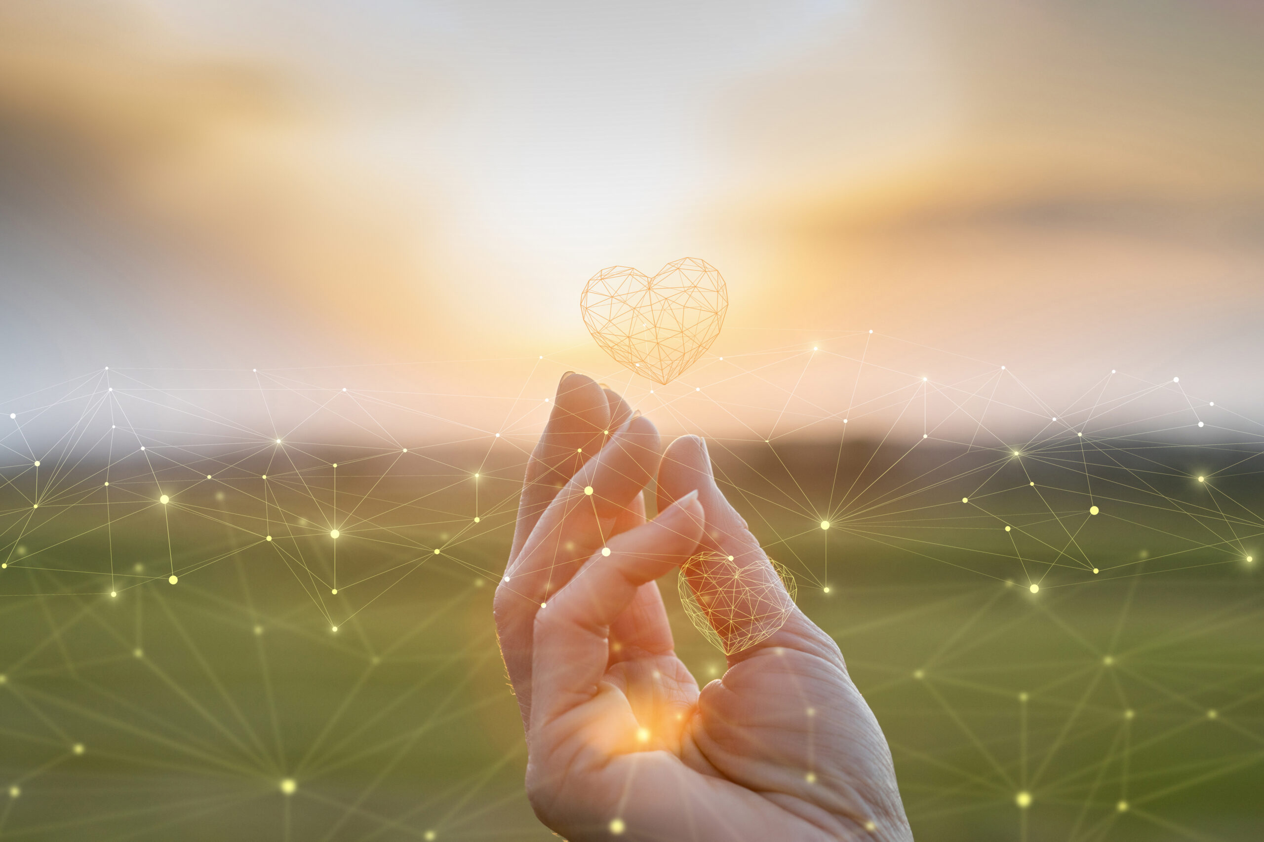 FMBR Research Papers | The Science of Connectiveness Part 1