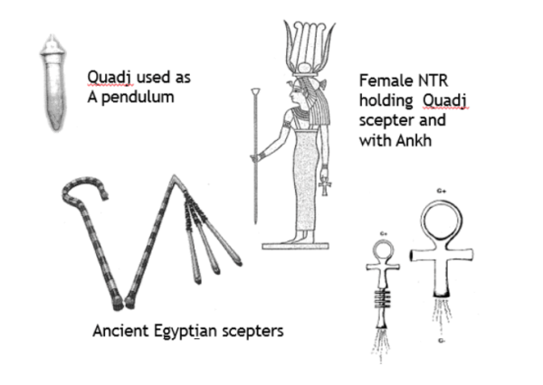 The Science of BioGeometry - FMBR